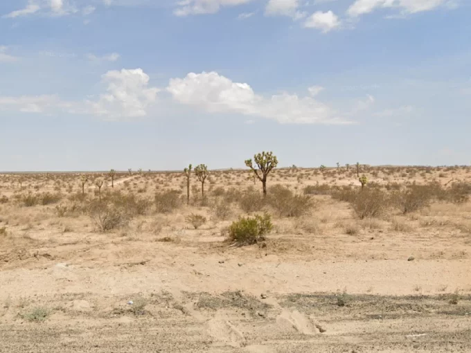 Southern California - Welty & Associates